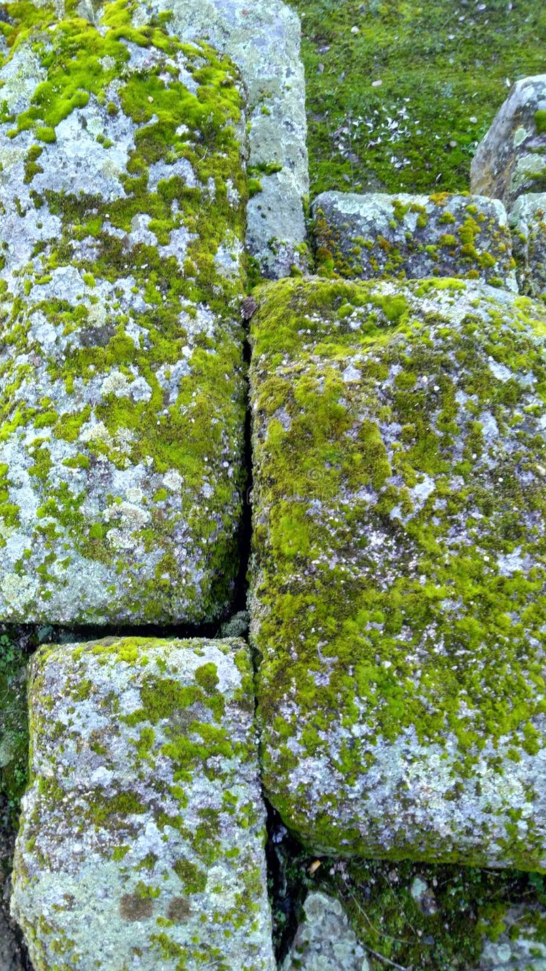 Textura Castelo Branco Stock Photos - Free & Royalty-Free Stock Photos ...