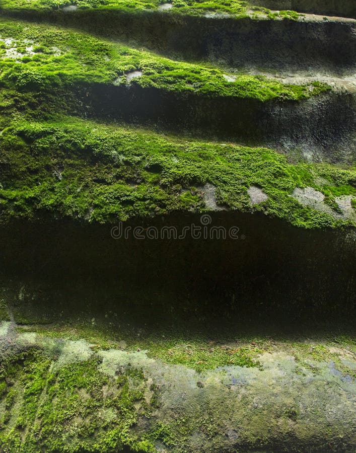 Moss Stones Background Natural Texture Close-up Stock Photo - Image of ...