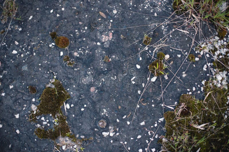 Moss and Stones in Resin Spread on the Ground Stock Photo - Image of ...