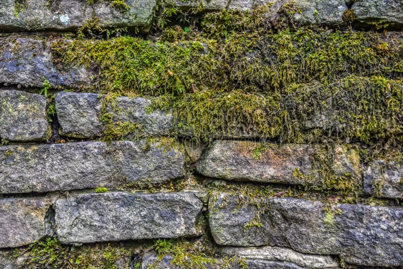Moss on Stones Wall Texture Stock Photo - Image of color, fungus: 96777328