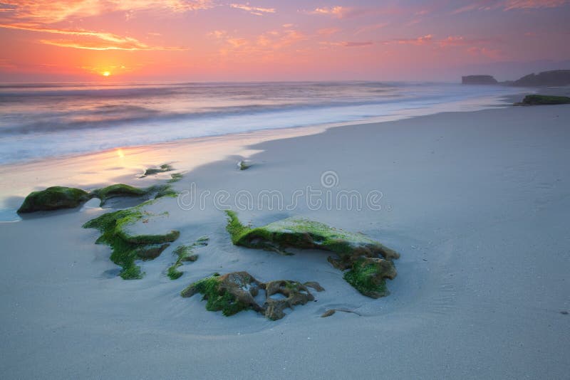 Moss Sunset stock photo. Image of sand, green, clouds - 13971838