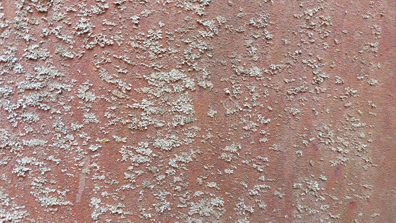 Moss Texture on Metal. the Background is Aged, Rough Stock Photo ...