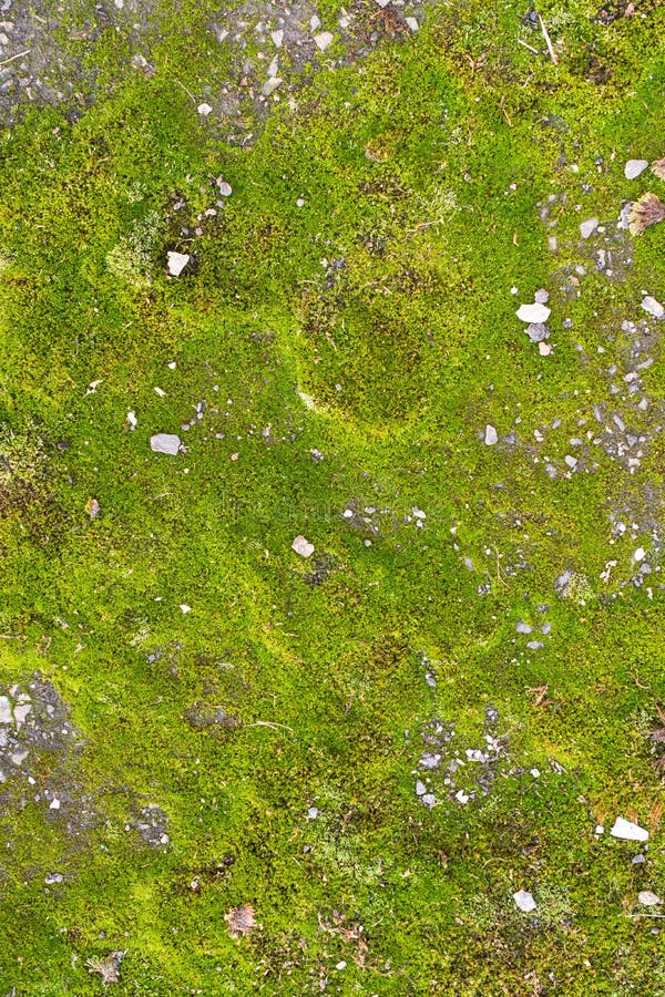 Wet Decal Texture Stock Photos - Free & Royalty-Free Stock Photos from ...