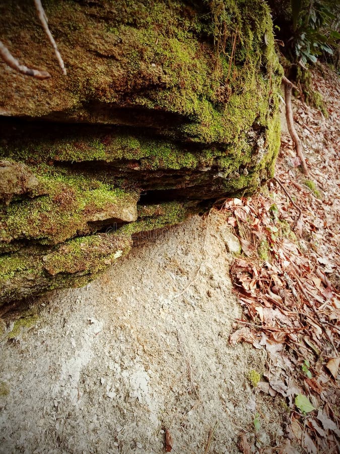 Moss Wall imagem de stock. Imagem de nave, musgo, rocha - 144931285