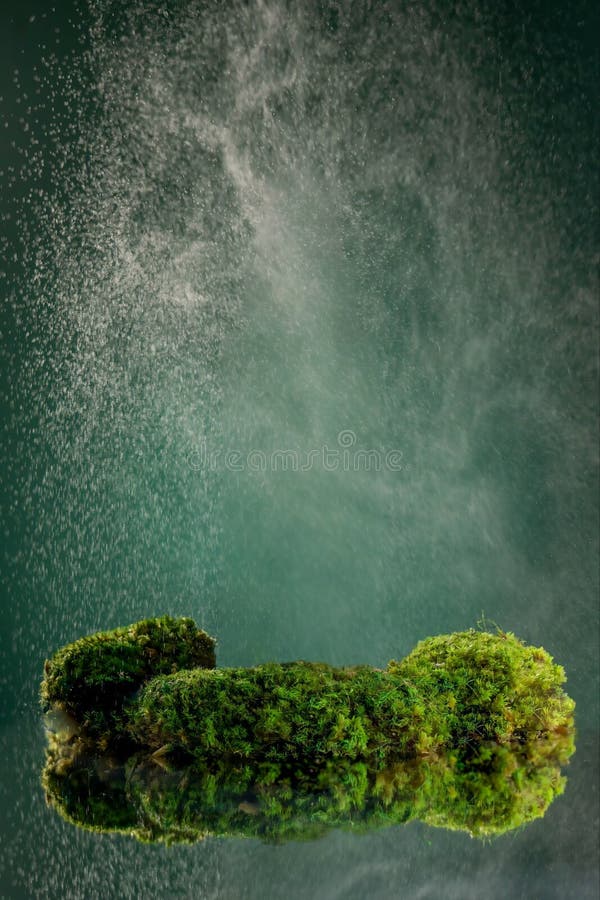 Moss with Water Spray with Reflective Shoot Stock Image - Image of ...