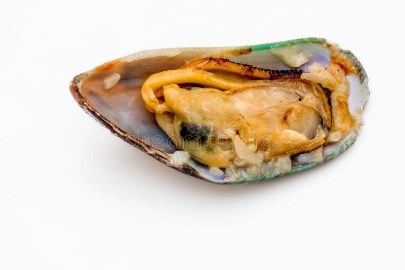 Mossel Op Witte Achtergrond Stock Foto - Afbeelding bestaande uit ...