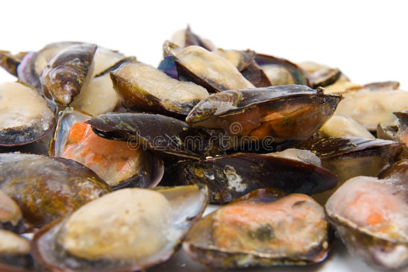 Mosselen stock afbeelding. Image of mossel, sluit, schalen - 15270767