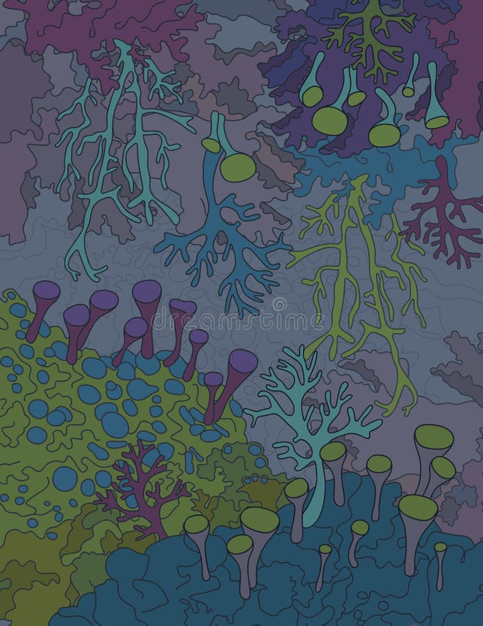 Mosses and lichens stock vector. Illustration of abstract - 15698154