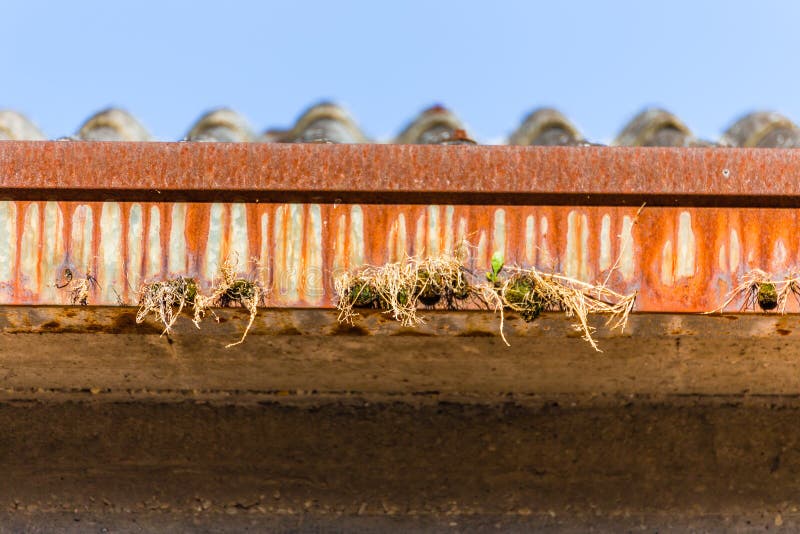Old rusty gutters stock photo. Image of isolated, rusty - 123910448
