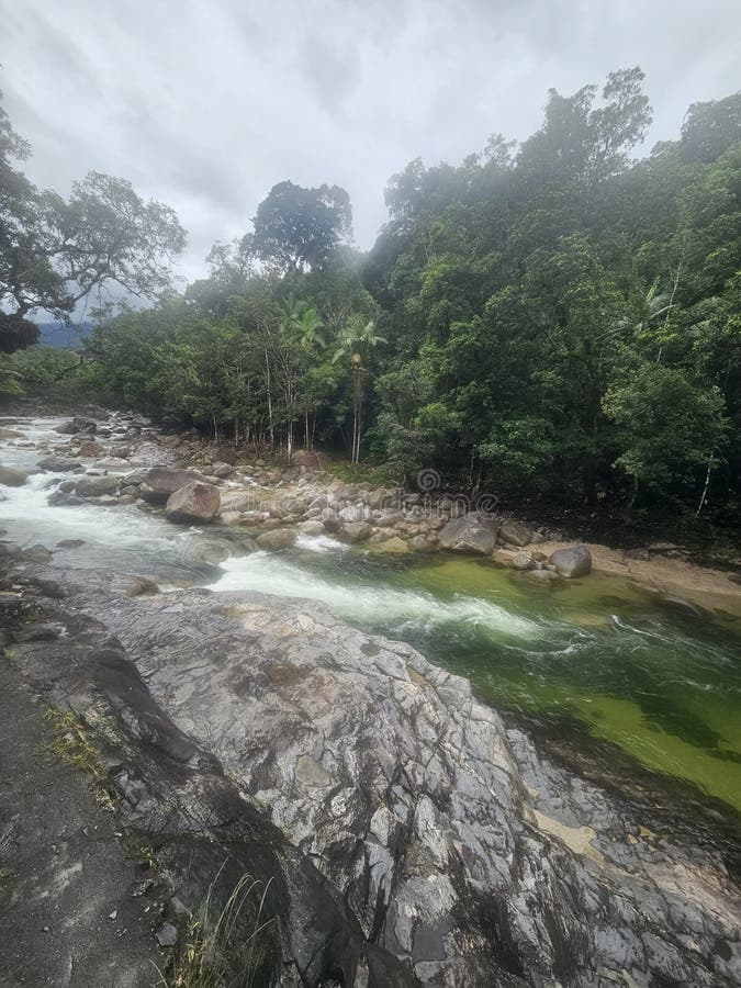 Mossman Gorge Daintree Queensland Australia Stock Image - Image of ...