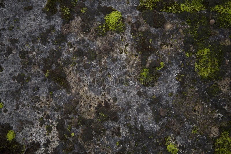 Mossy Old Rough Stone Surface Texture Stock Image - Image of color ...