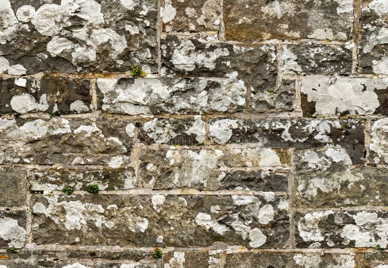 Mossy Brick Rock Wall Seamless Texture Stock Image - Image of medieval ...