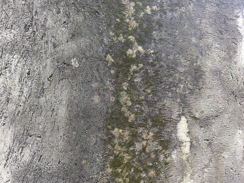 Mossy Cement Plaster Wall Texture Stock Image - Image of plant, geology ...