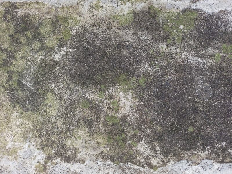 Mossy Concrete Surface with Weathered Texture Stock Photo - Image of ...