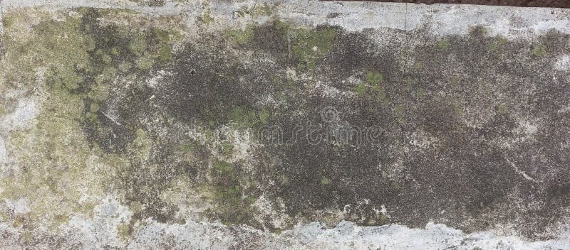 Mossy Concrete Surface with Weathered Texture Stock Image - Image of ...
