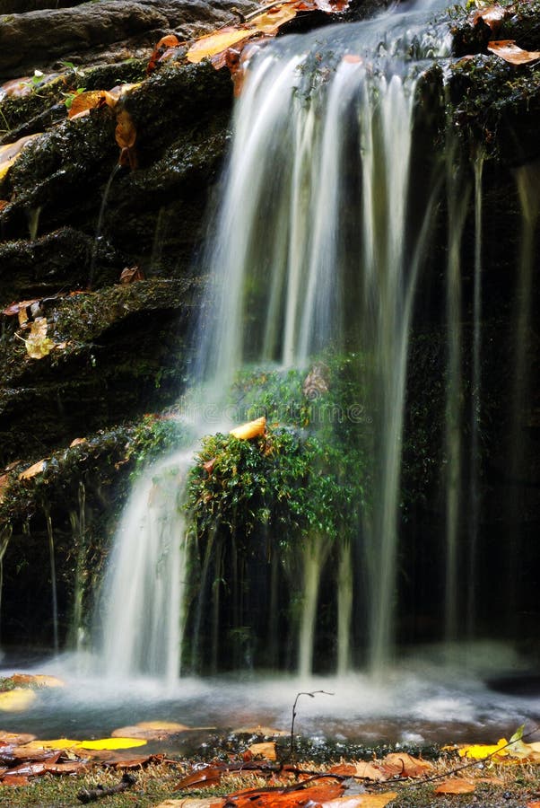 Mossy Falls stock image. Image of river, cool, orange - 3403597