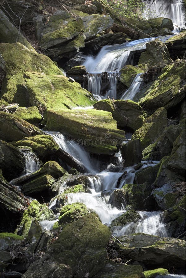 Mossy Forest Waterfall stock photo. Image of forest, hidden - 94072270