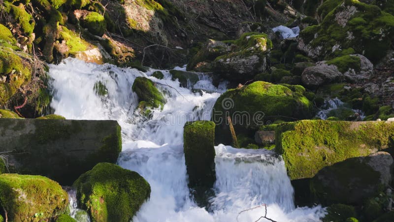 Mossy Forest Waterfall Stream Stock Footage - Video of scenic, rocks ...