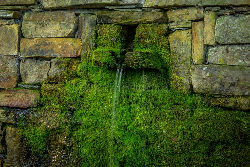 Mossy Fountain stock image. Image of fountain, green - 48941287