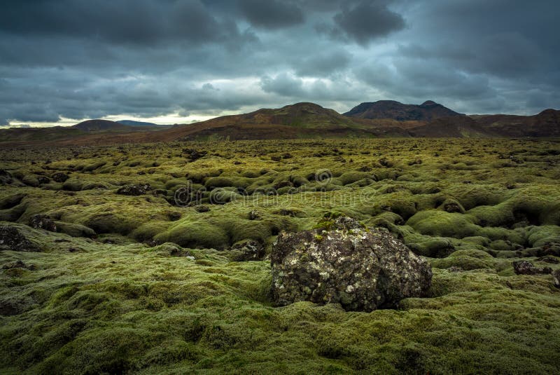 The Mossy Lava Fields of Iceland Stock Photo - Image of travel, scenery ...