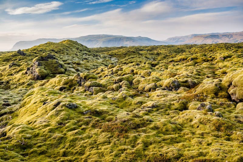 The Mossy Lava Fields Near Vik in Iceland Stock Photo - Image of lava ...