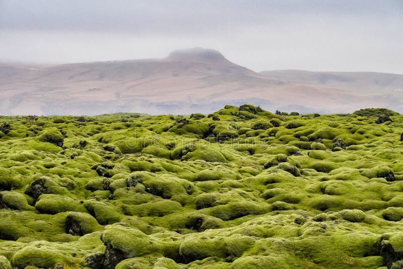 The Mossy Lava Fields Near Vik in Iceland Stock Photo - Image of hill, landscape: 152707612