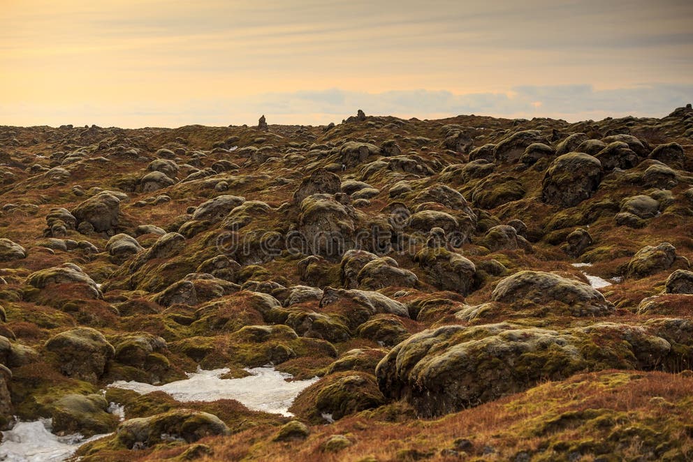 Mossy lava rock stock image. Image of park, attraction - 57557083