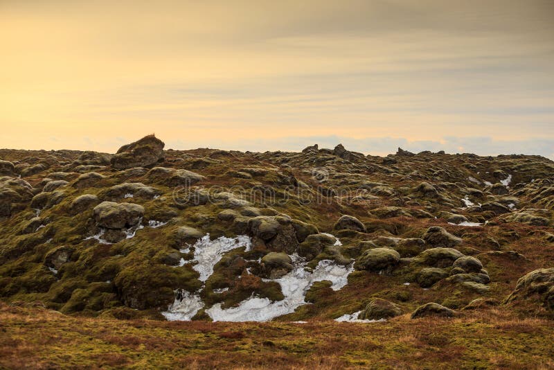 Mossy lava rock stock image. Image of color, ground, light - 57557289