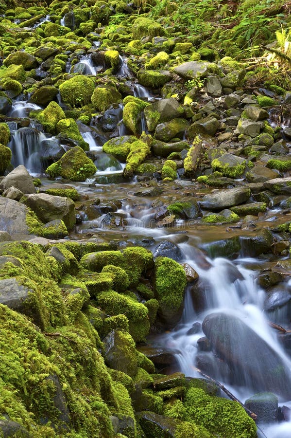 Mossy Mountain Cliff Isolated on White Background Stock Image - Image ...
