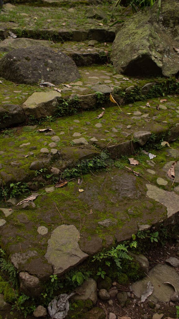Mossy Natural Stone Steps – Rustic Pathway Design Stock Image - Image ...