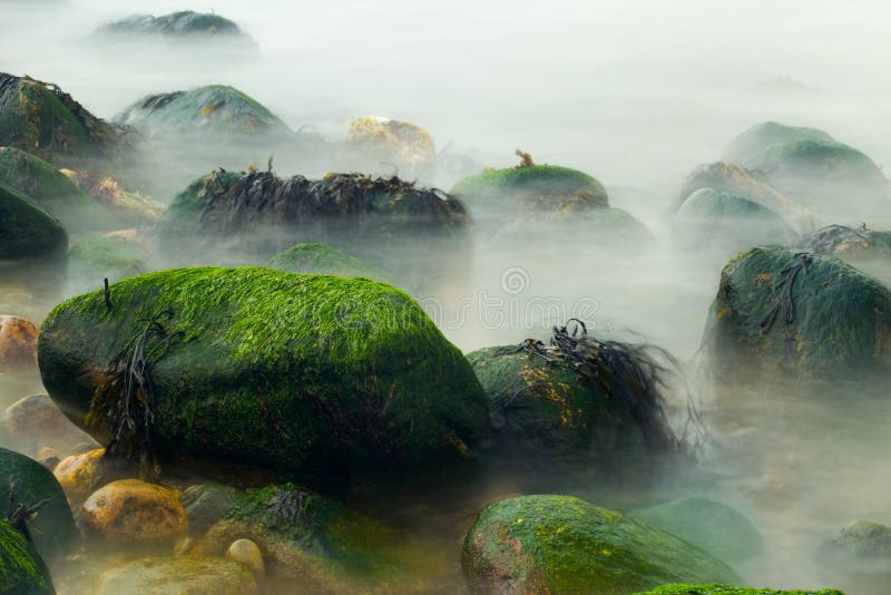 Mossy ocean rocks in mist stock photo. Image of lush - 38626220