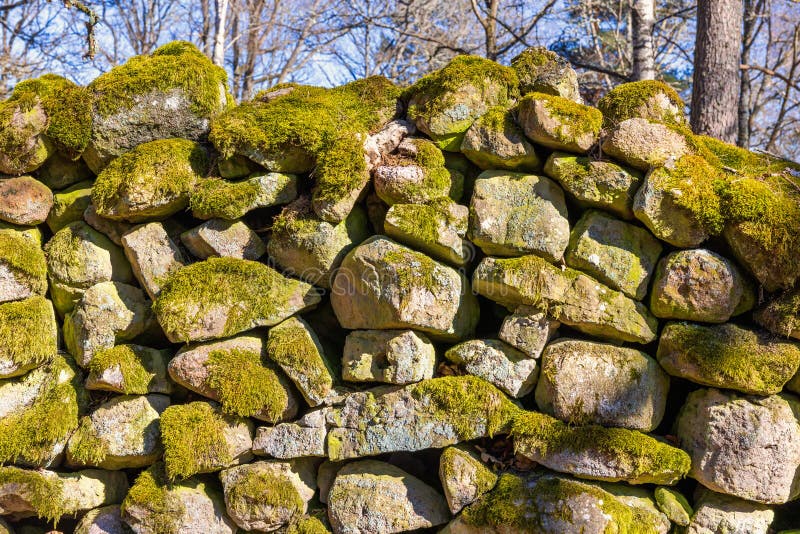 Mossy Old Stone Wall in a Forest in Spring Stock Photo - Image of ...