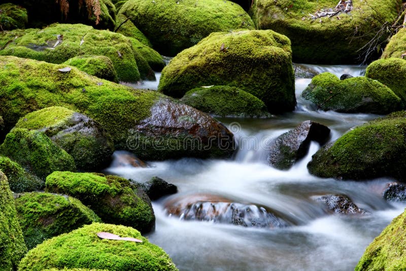 Mossy River Rocks stock image. Image of river, moss, mossy - 1525119