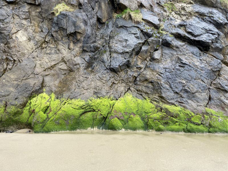 Mossy Rock Beach 03 stock image. Image of natural, moist - 325741161