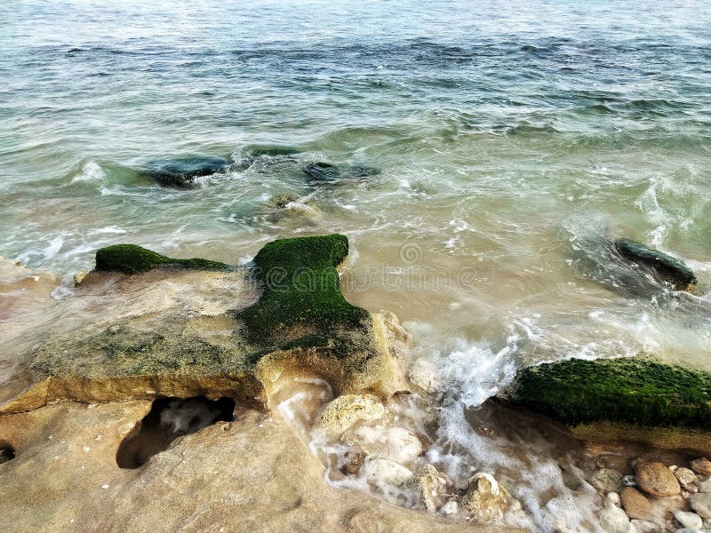 Mossy rock on the beach stock image. Image of ocean - 258060139