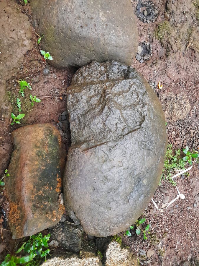 Mossy Rock Behind the House Stock Image - Image of flouur, rock: 262141947