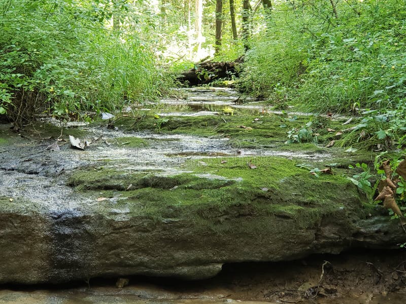 Mossy rock path stock image. Image of mossy, rock, path - 162284495