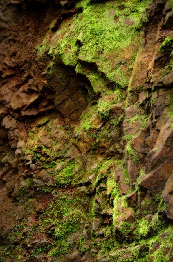 Mossy rock texture stock photo. Image of material, design - 39581056