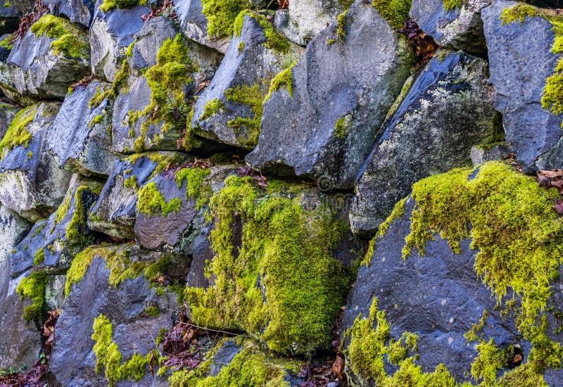 Mossy Rock Wall Close-up stock photo. Image of shot - 272773070
