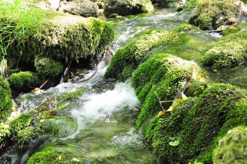 Mossy rocks stock image. Image of crystal, plant, water - 10506301