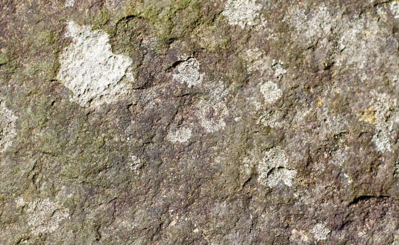 Mossy rocks stock photo. Image of stone, grey, lines - 97199324