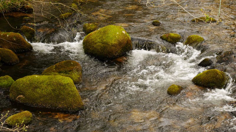 Mossy Rocks in Dartmoor River Stock Image - Image of flowing, mossy ...