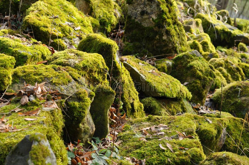 Mossy Rocks Waterfall stock photo. Image of nature, flow - 56935504