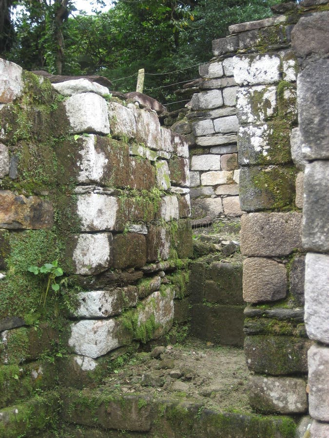 Mossy rocks stock image. Image of stones, mossy, stonewall - 80415069