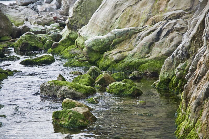 Mossy Rocks on the Seacoast Stock Image - Image of moving, seacoast ...