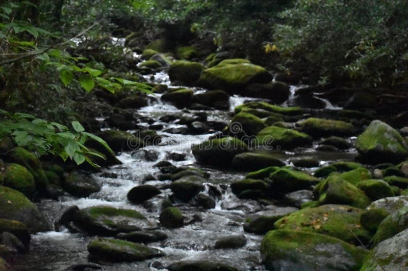 Mossy Rocks in Stream stock photo. Image of stream, great - 305601898