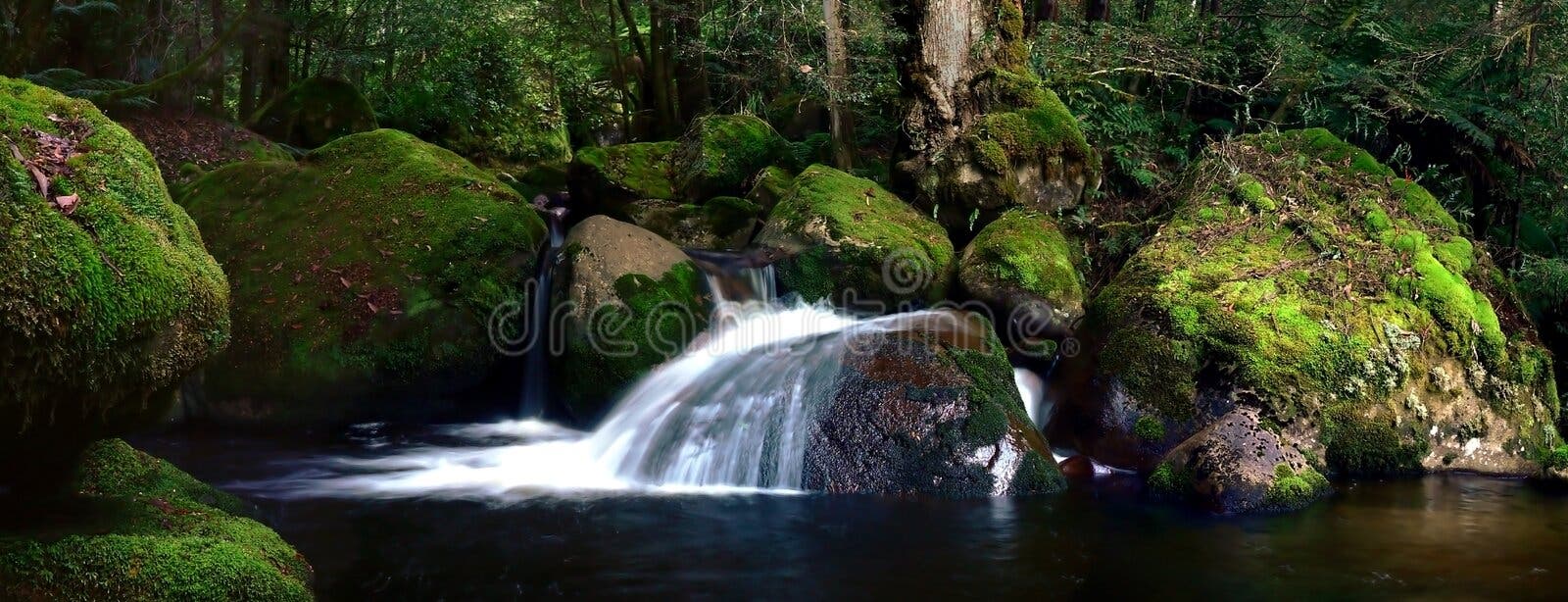 Mossy River Rocks stock image. Image of river, moss, mossy - 1525119