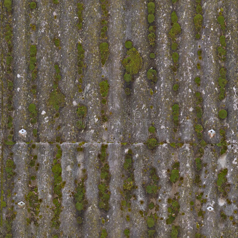 Mossy Roofing Texture or Pattern Stock Photo - Image of pattern, nature ...