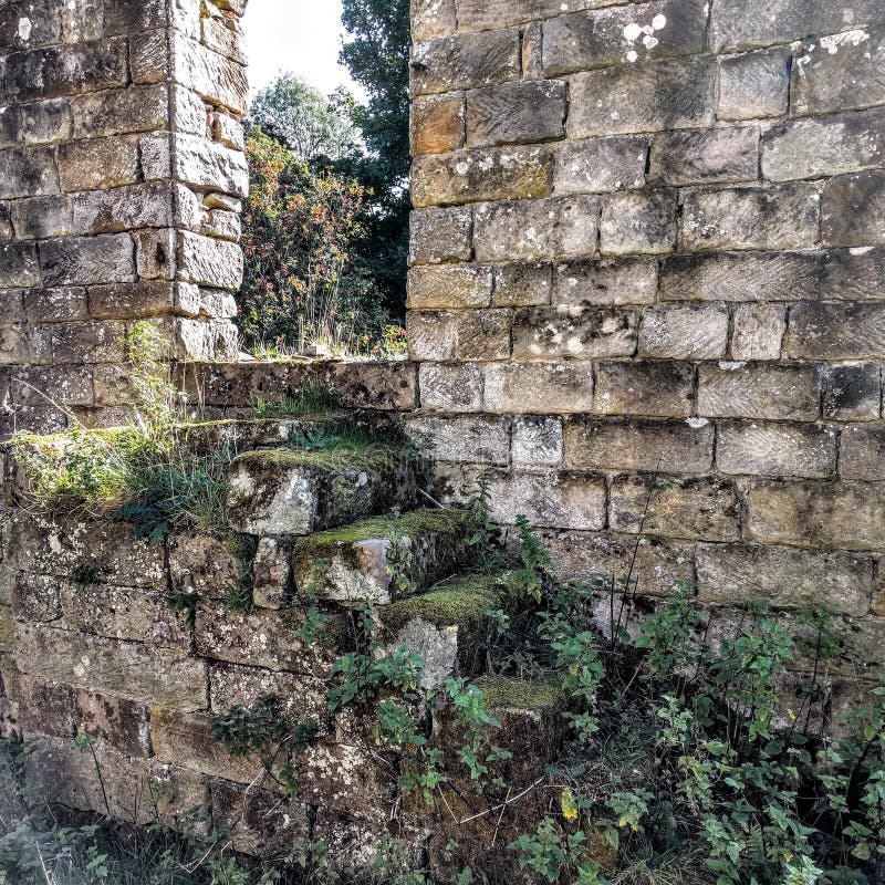 Mossy steps stock photo. Image of abandoned, mossy, building - 79565790