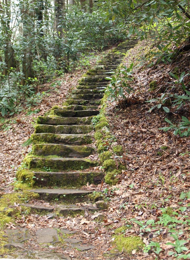 Mossy Steps stock image. Image of forest, tennessee, path - 70454813